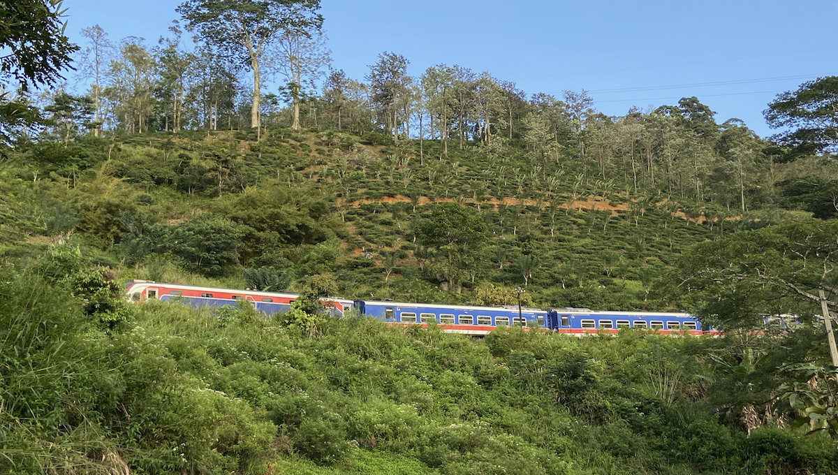 The Blue Train – Janet's Journal