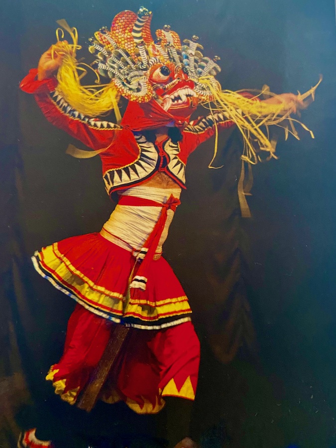 Masks – Raksha Masks – Janet's Journal